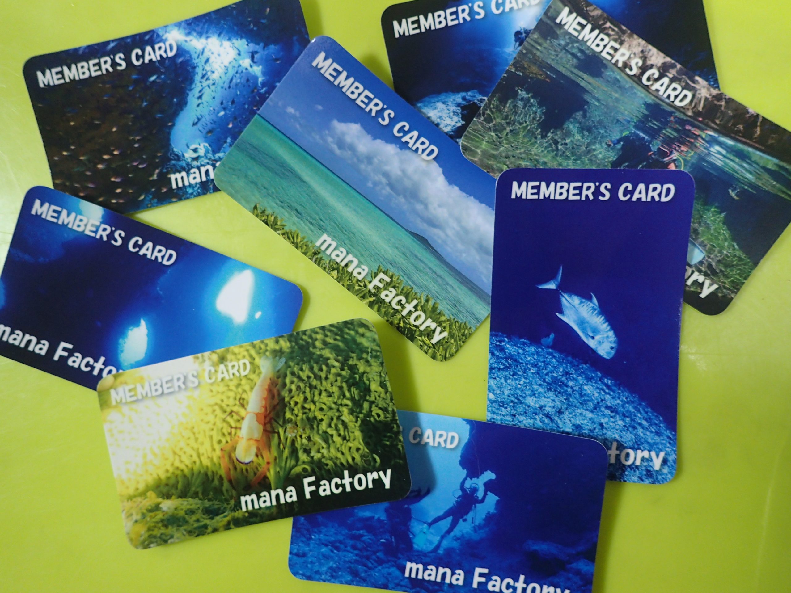 ポイントカード | 宮古島のんびり派ダイビングショップ manaFactory(マナファクトリー)